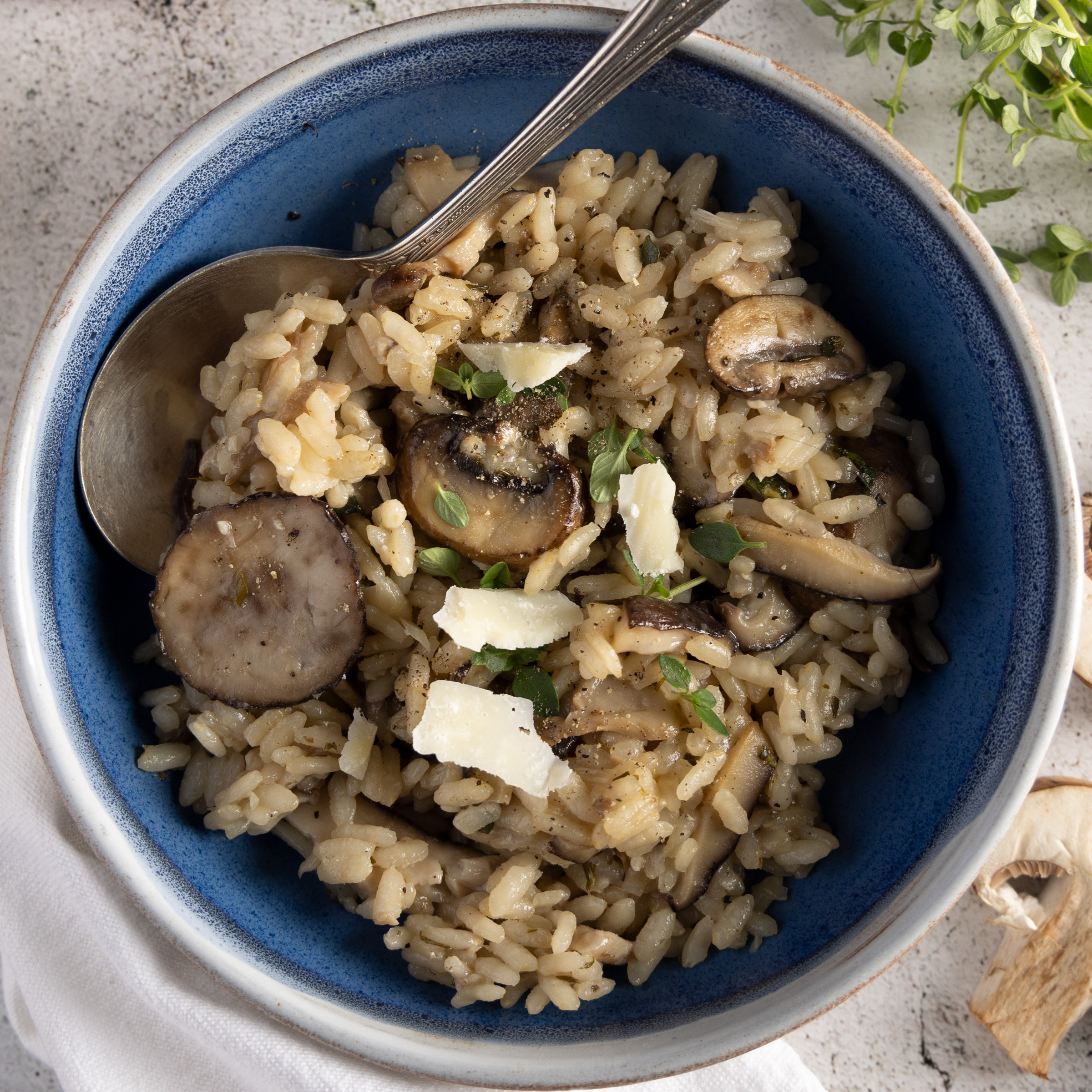 Wild Mushroom Risotto | Dinner at Lulu's